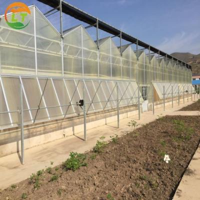 Cina Grande serra in policarbonato per la coltivazione di ortaggi e fiori in vendita