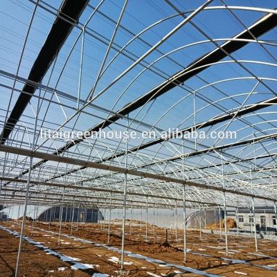 Cina Sistema idroponico per l'acquaponica in serre agricole multi-span in vendita