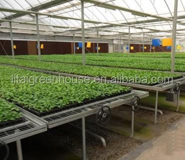 Cina Sistema idroponico per l'acquaponica in serre agricole multi-span in vendita