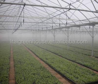 Cina Sistema idroponico per l'acquaponica in serre agricole multi-span in vendita