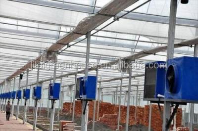 Cina Sistema idroponico per l'acquaponica in serre agricole multi-span in vendita