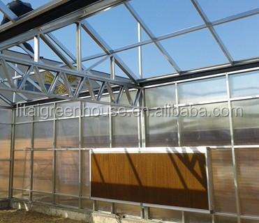 Cina Sistema idroponico per l'acquaponica in serre agricole multi-span in vendita