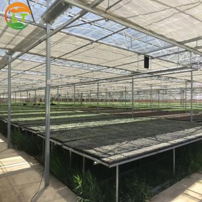 Cina Serra economica in policarbonato europeo con pannelli di ventilazione sul tetto e laterali in vendita