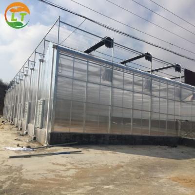Cina Serra economica in policarbonato europeo con pannelli di ventilazione sul tetto e laterali in vendita