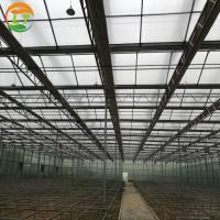 China PC Sheet Cover Greenhouse The Perfect Solution for Large-Scale Hydroponic Supply for sale