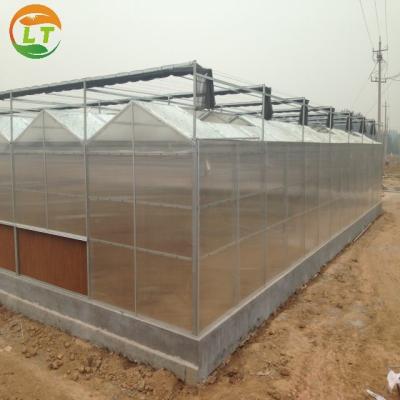 Cina La soluzione perfetta per l'alimentazione idroponica su larga scala in vendita
