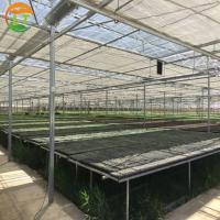 China PC Sheet Cover Greenhouse The Perfect Solution for Large-Scale Hydroponic Supply for sale