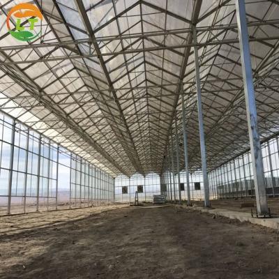 Cina La soluzione perfetta per l'alimentazione idroponica su larga scala in vendita