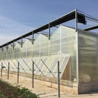 China Customizable Top Ventilation Side Ventilation Greenhouse Polycarbonate for Vegetable for sale