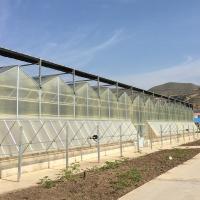 China Customizable Top Ventilation Side Ventilation Greenhouse Polycarbonate for Vegetable for sale