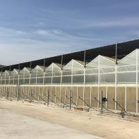 China Customizable Top Ventilation Side Ventilation Greenhouse Polycarbonate for Vegetable for sale