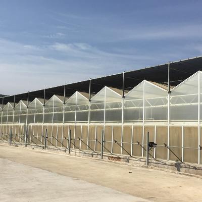 Cina Ventilazione superiore personalizzabile Ventilazione laterale Policarbonato di serra per ortaggi in vendita