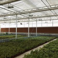 China Customizable Top Ventilation Side Ventilation Greenhouse Polycarbonate for Vegetable for sale
