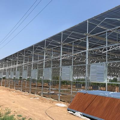 Cina Sistema di ombreria all' interno all' esterno telaio in acciaio galvanizzato a caldo Serra di policarbonato di grandi dimensioni in vendita