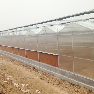 Cina Sistema di ombreria all' interno all' esterno telaio in acciaio galvanizzato a caldo Serra di policarbonato di grandi dimensioni in vendita