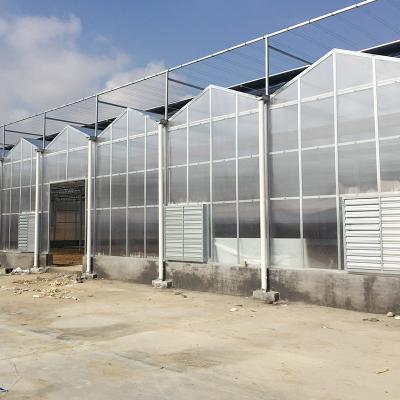 Cina Sistema di ombreria all' interno all' esterno telaio in acciaio galvanizzato a caldo Serra di policarbonato di grandi dimensioni in vendita