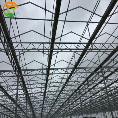 Cina Sistema d'ombreggiatura Serra in policarbonato per la coltivazione di ortaggi, frutti e fiori in vendita
