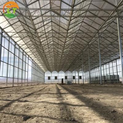 Cina Serra di policarbonato per l'agricoltura a più intervalli con sistema di ventilatori per pad di raffreddamento idroponica in vendita