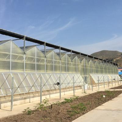 Cina Serre agricole multi-span per la coltivazione sostenibile di frutta e verdura in vendita