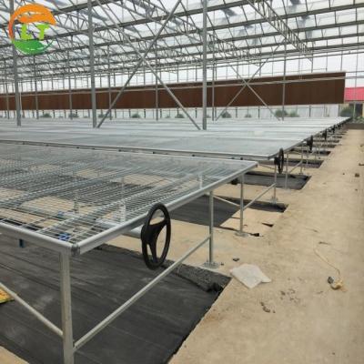 Cina Agricoltura americana di pomodori serra in policarbonato dotata di sistemi idroponici in vendita