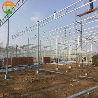 Cina Agricoltura americana di pomodori serra in policarbonato dotata di sistemi idroponici in vendita