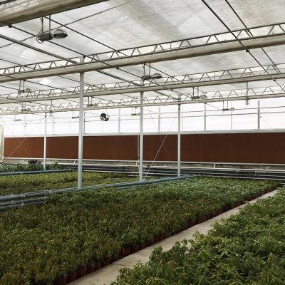 Cina Serre commerciale in policarbonato per la coltivazione di ortaggi, frutta e fiori versatili in vendita