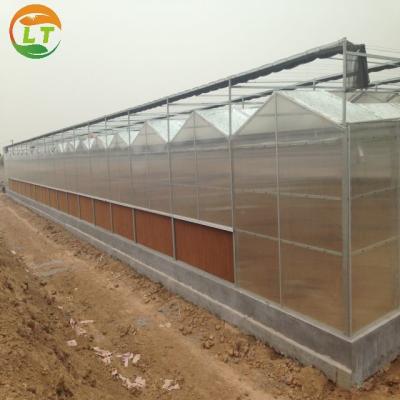 Cina PC Serra per serre agricole multi-span Sezione 8.0m Struttura robusta in vendita