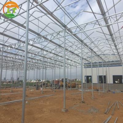 Cina PC Serra per serre agricole multi-span Sezione 8.0m Struttura robusta in vendita