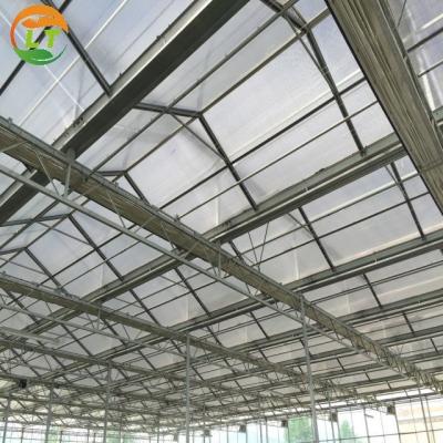 Cina PC Serra per serre agricole multi-span Sezione 8.0m Struttura robusta in vendita