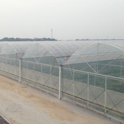 Cina Serra per tubi d'acciaio galvanizzati a caldo a strato personalizzato multi-span film per alta produzione in vendita