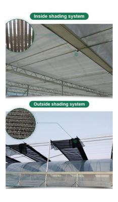 Cina Serra a pellicola a lunghezza multi-span personalizzata per l'agricoltura su larga scala in vendita