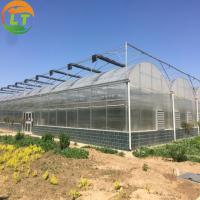 China Customizable Size Multi-Span Agricultural Invernadero with Advanced Hydroponic System for sale