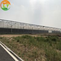 China Customizable Size Multi-Span Agricultural Invernadero with Advanced Hydroponic System for sale