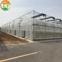 China Customizable Size Multi-Span Agricultural Invernadero with Advanced Hydroponic System for sale