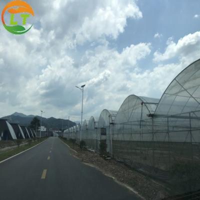 Cina Invernadero agricolo a dimensioni personalizzabili con sistema idroponico avanzato in vendita
