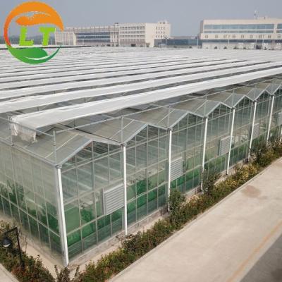 Cina Serre agricole multi-span con acciaio galvanizzato a caldo e sistema intelligente in vendita