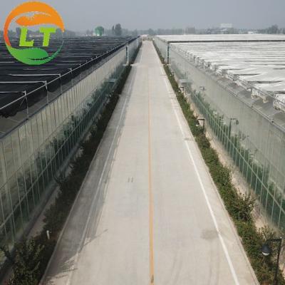 Cina Serre agricole multi-span con acciaio galvanizzato a caldo e sistema intelligente in vendita