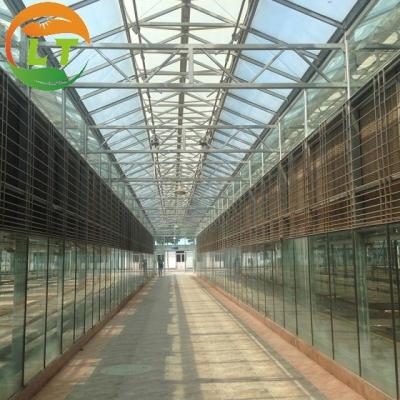 Cina Serre agricole multi-span con acciaio galvanizzato a caldo e sistema intelligente in vendita