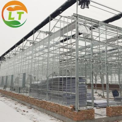 Cina Serre agricole multi-span con acciaio galvanizzato a caldo e sistema intelligente in vendita