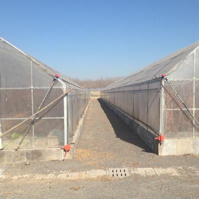 Cina Struttura stabile Serra di galleria agricola e commerciale in vendita