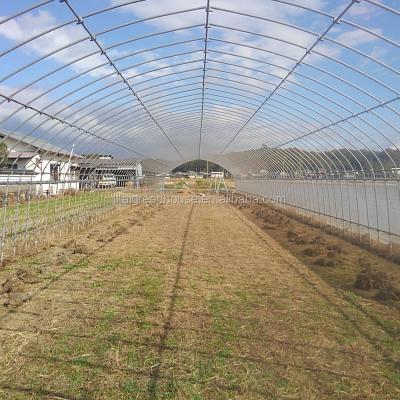 Cina Struttura stabile Serra di galleria agricola e commerciale in vendita