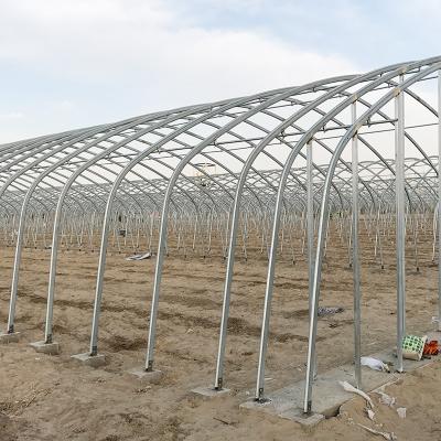 Cina Struttura stabile Serra di galleria agricola e commerciale in vendita