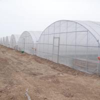 Quality Hot-dip Galvanized Steel Pipe Framework Tunnel Mini Garden Greenhouse for for sale