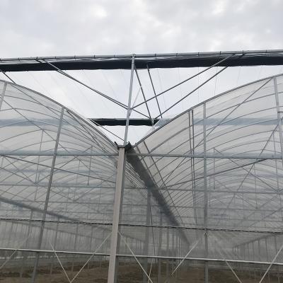 Cina Materiale PE Sistema di scanalatura per la coltivazione verticale di ortaggi idroponici per una facile e facile piantagione in vendita