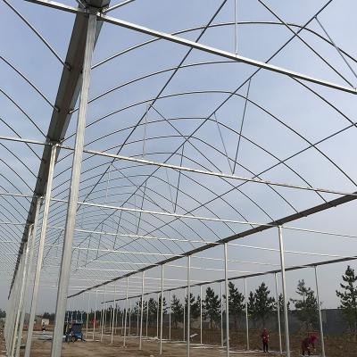 Cina Materiale PE Sistema di scanalatura per la coltivazione verticale di ortaggi idroponici per una facile e facile piantagione in vendita