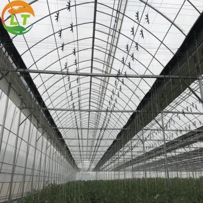 LiTai Multi-Span Film Greenhouse 10-100m Length for Hydroponic Microgreens Harvesting