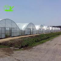 Quality Film Covered Agricultural Tunnel Greenhouse for Growing Vegetables Fruits and for sale
