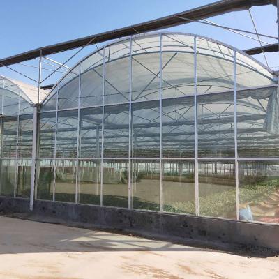 中国 大規模な植物の栽培のための調整可能な温度制御温室 販売のため