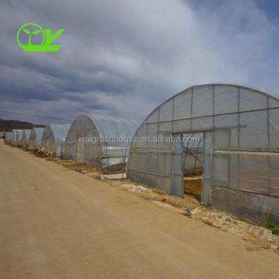 Film Covered Agricultural Tunnel Greenhouse for Growing Vegetables Fruits and Flowers