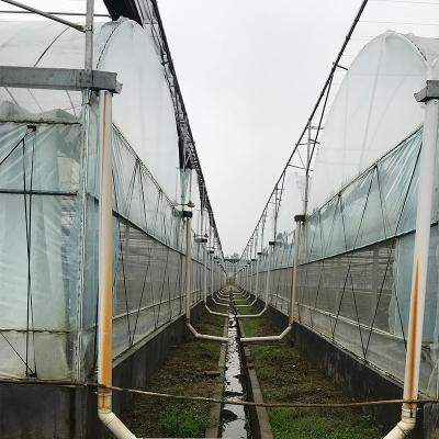 中国 大規模な植物の栽培のための調整可能な温度制御温室 販売のため